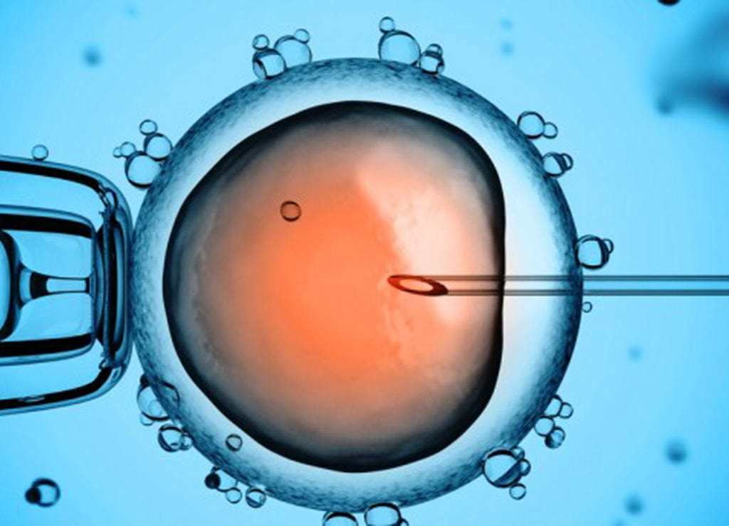 IVF/ICSI – Cayman Fertility Centre